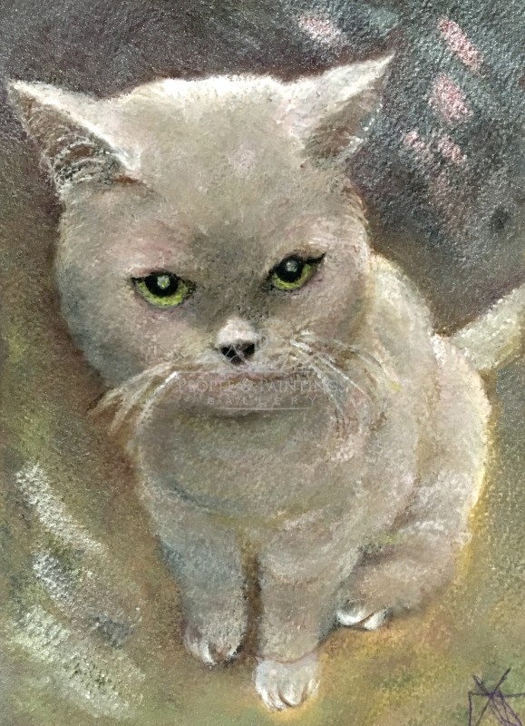Cat | People And Paintings