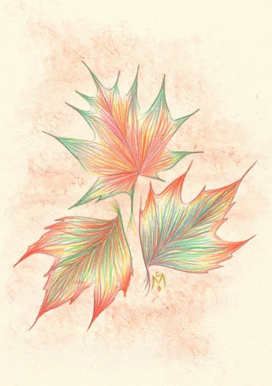 The curator's notes on „Shades of Ephemerality” | People And Paintings